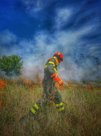 Med - Star project.jpg | UCP Knowledge Network